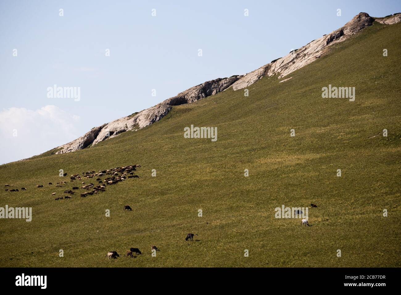 Scenes from Son Kol Lake in Kyrgyzstan's Naryn Oblast Stock Photo - Alamy