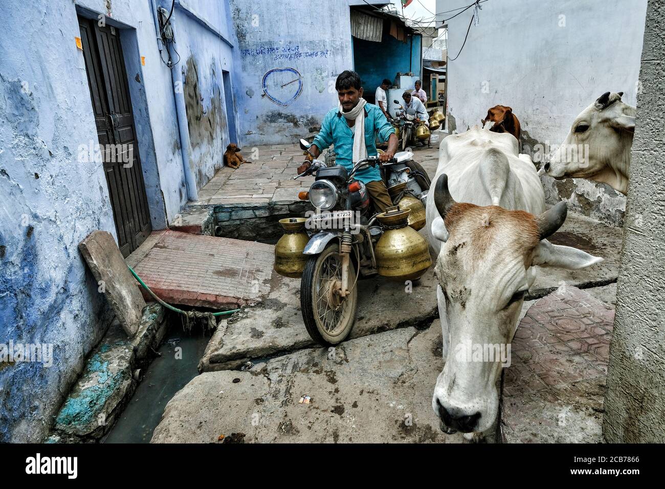 Milk vendors india hi-res stock photography and images - Alamy