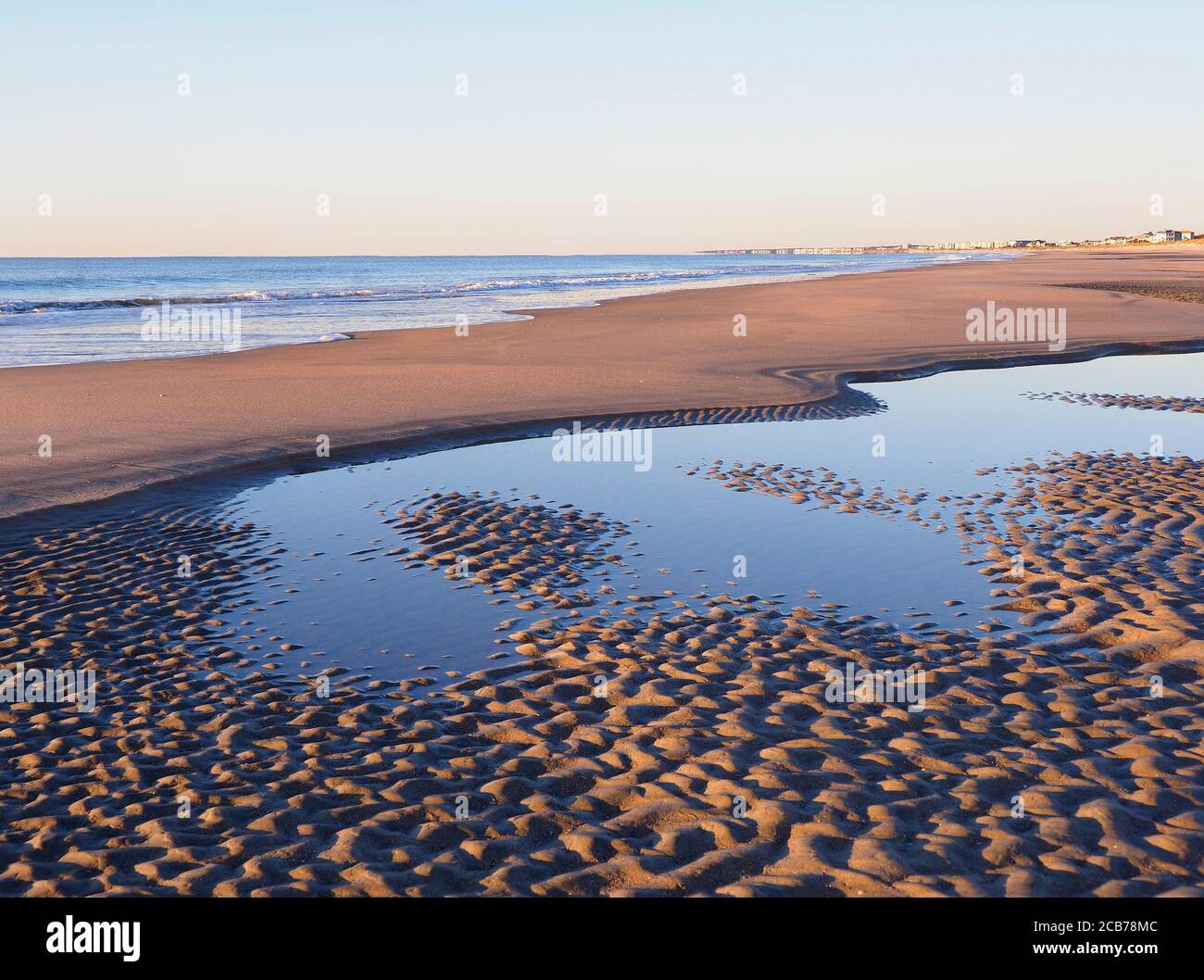 A Focus Stacked Image of the Rippled Sand in the Tide Pools pf ...