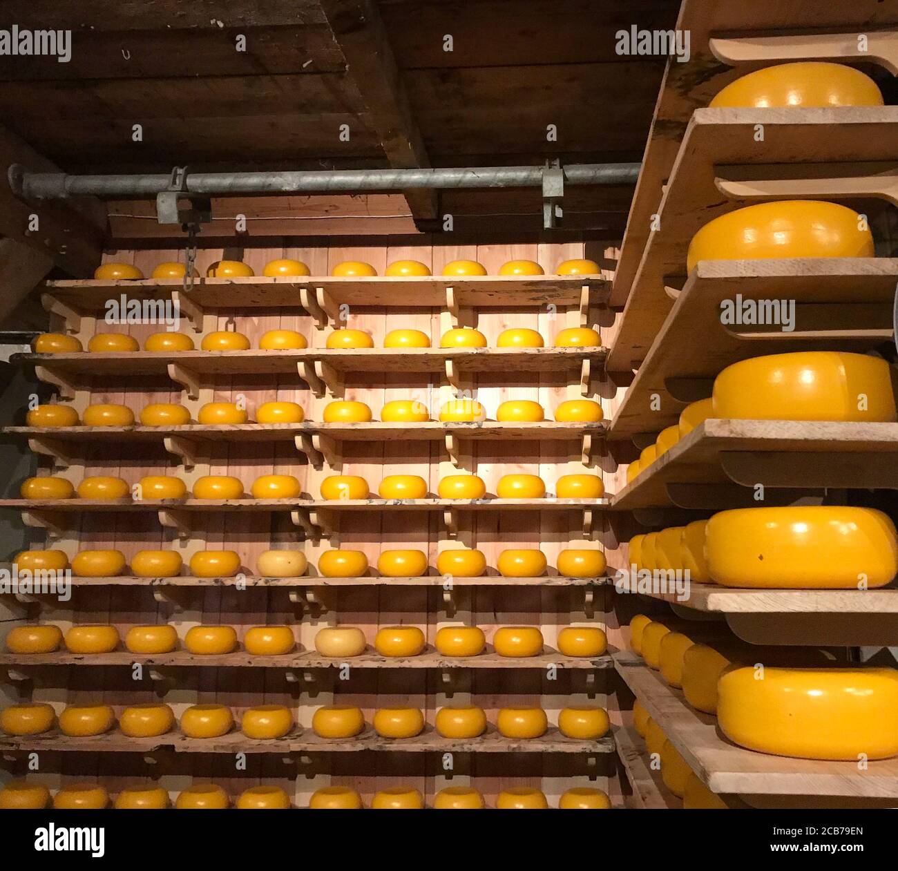 Dozens of yellow round Dutch cheeses for sale, presented on wooden ...
