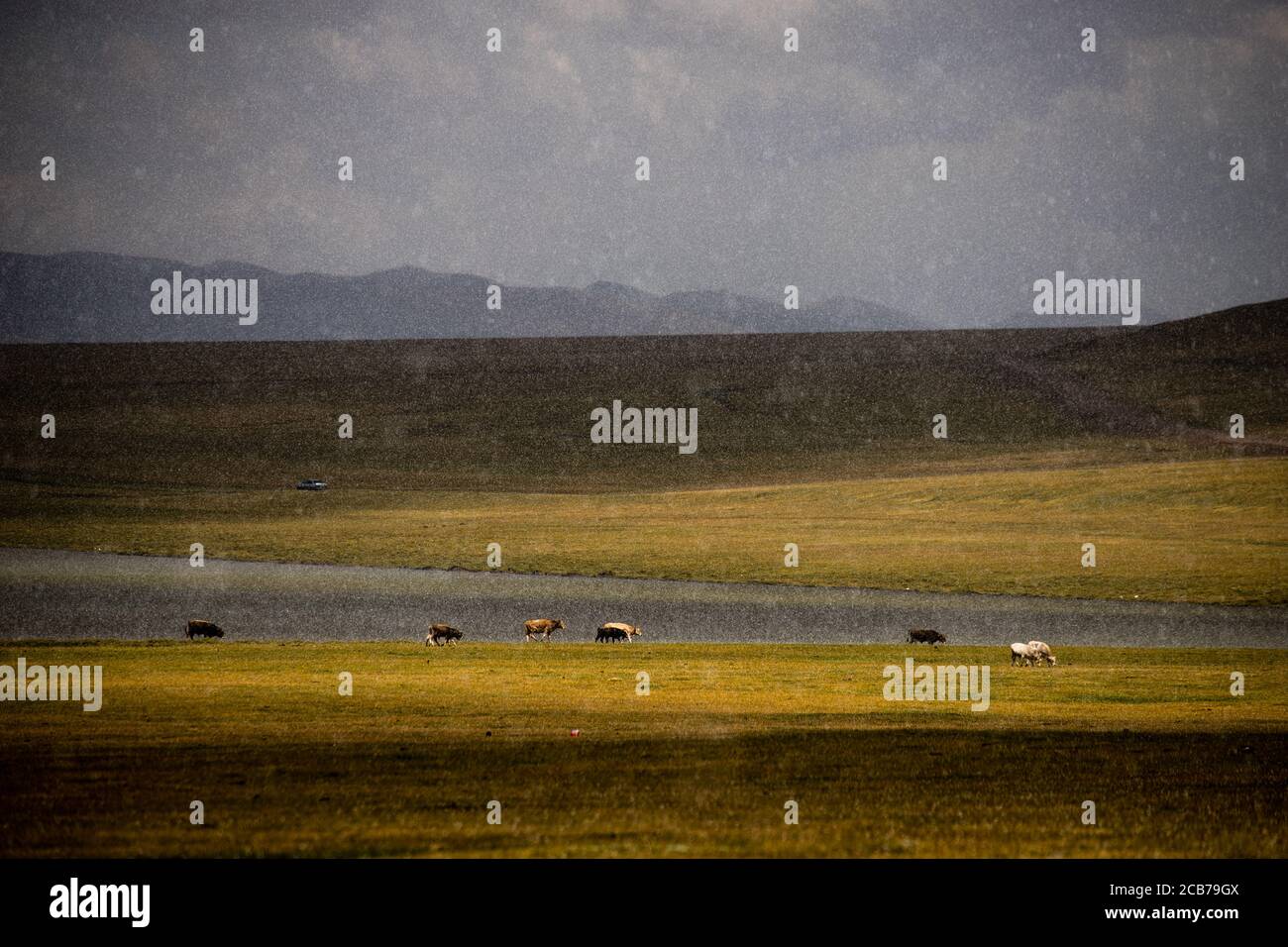 Scenes from Son Kol Lake in Kyrgyzstan's Naryn Oblast Stock Photo - Alamy