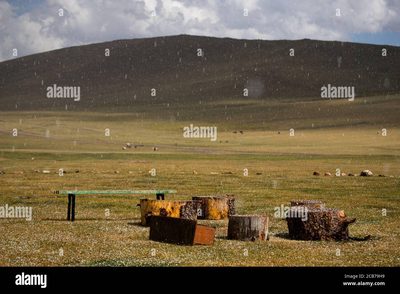 Scenes from Son Kol Lake in Kyrgyzstan's Naryn Oblast Stock Photo - Alamy