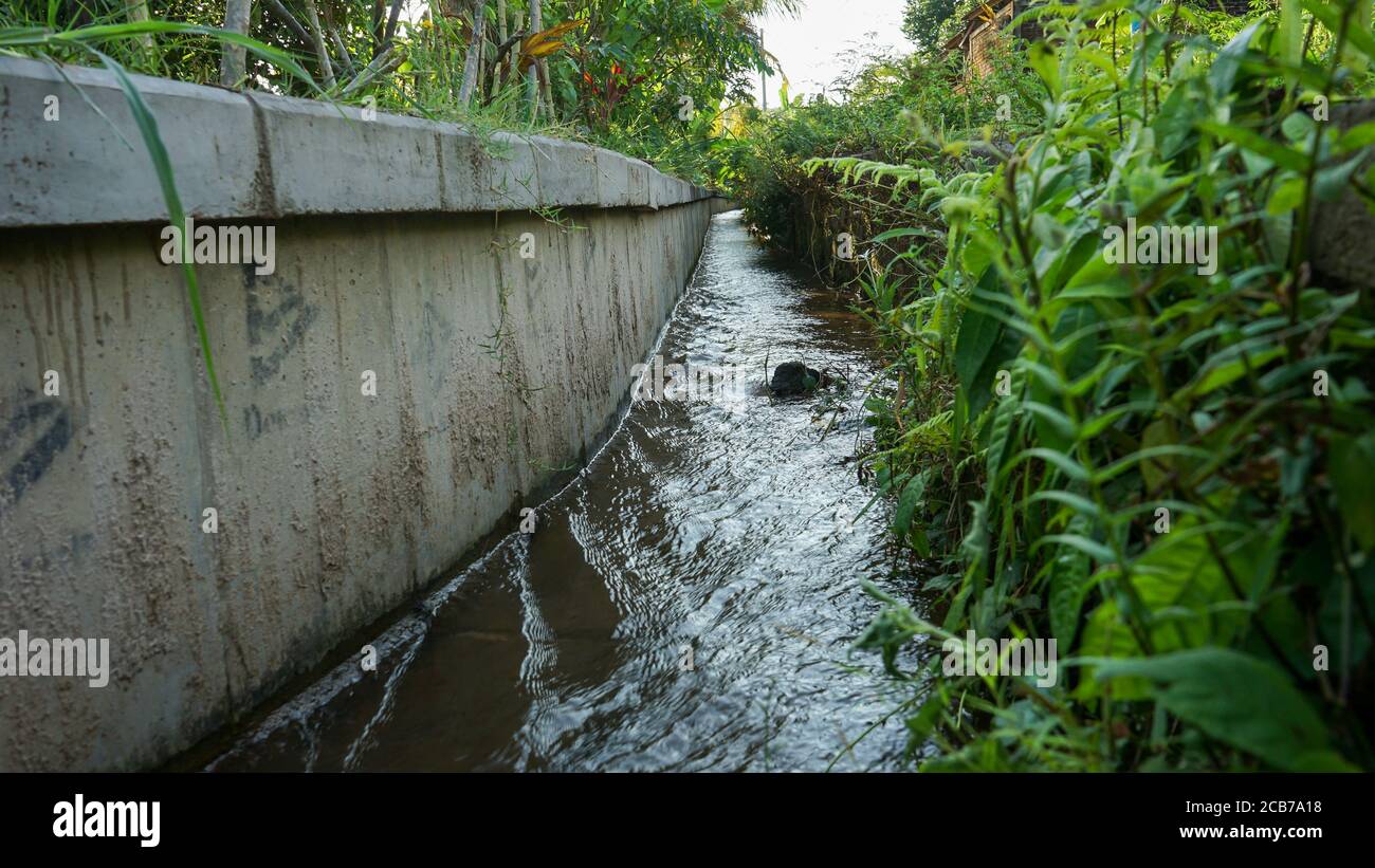 Irrigation channel for rice fields Stock Photo - Alamy