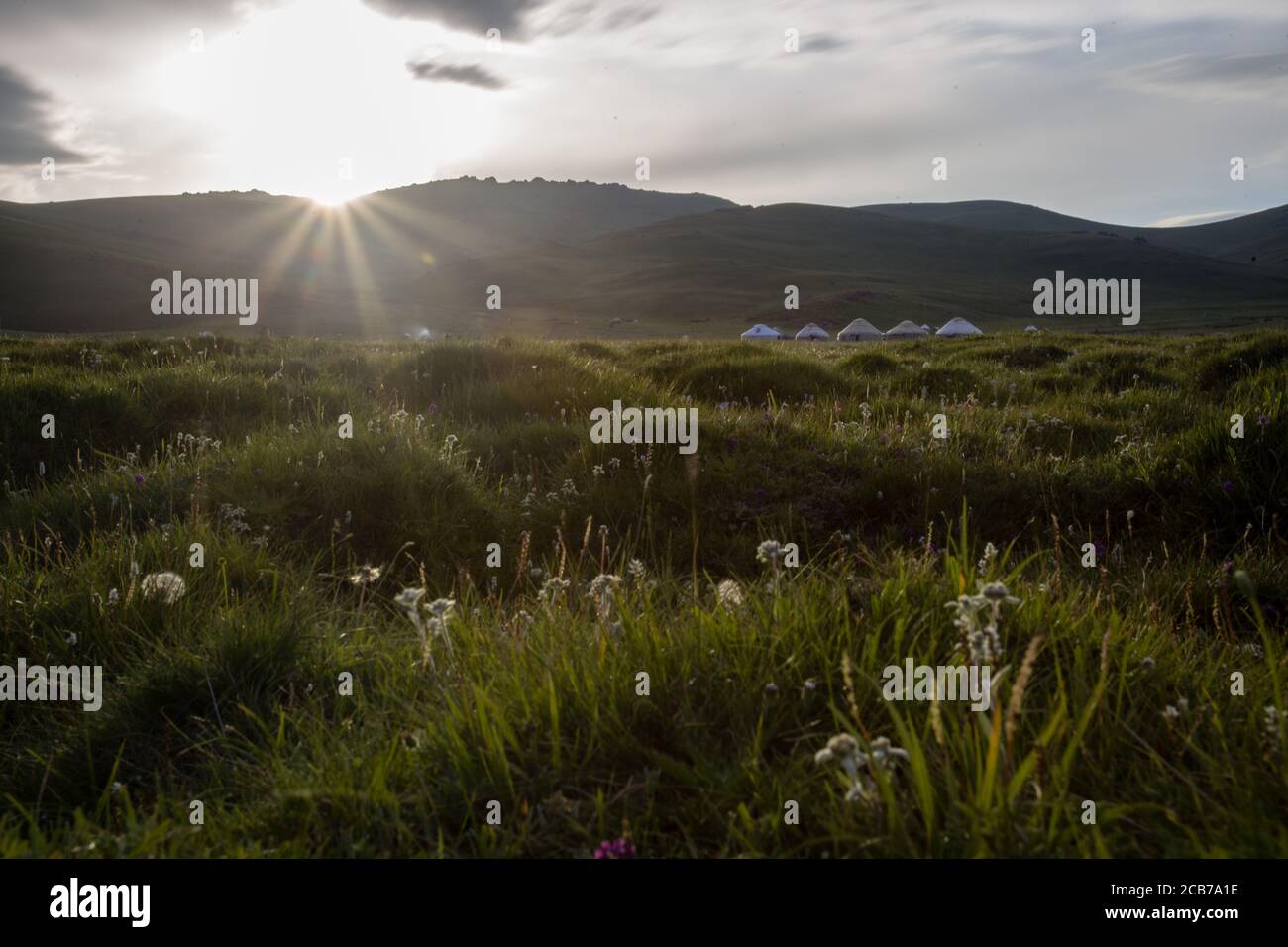 Scenes from Son Kol Lake in Kyrgyzstan's Naryn Oblast Stock Photo - Alamy