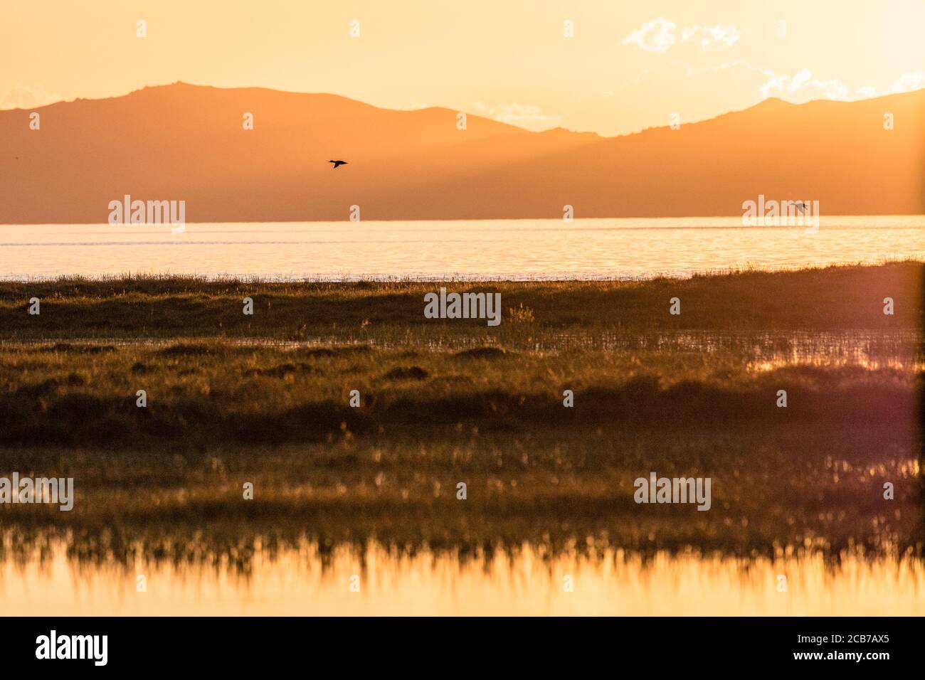 Scenes from Son Kol Lake in Kyrgyzstan's Naryn Oblast Stock Photo - Alamy