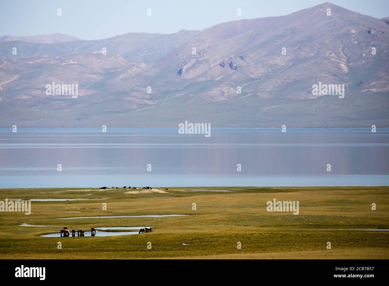 Scenes from Son Kol Lake in Kyrgyzstan's Naryn Oblast Stock Photo - Alamy