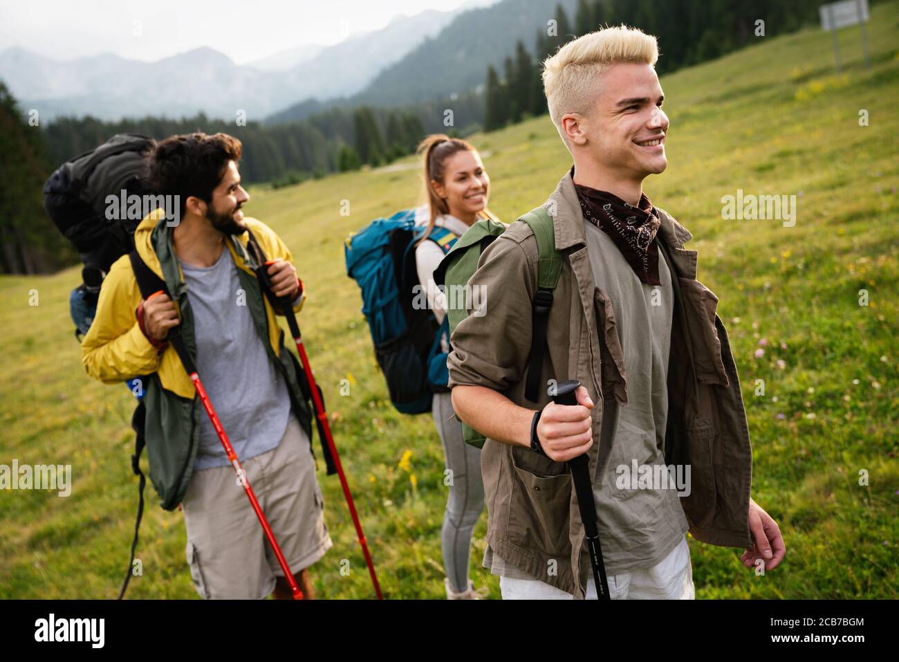 Trekking, hiking, camping and wild life concept. Group of friends ...