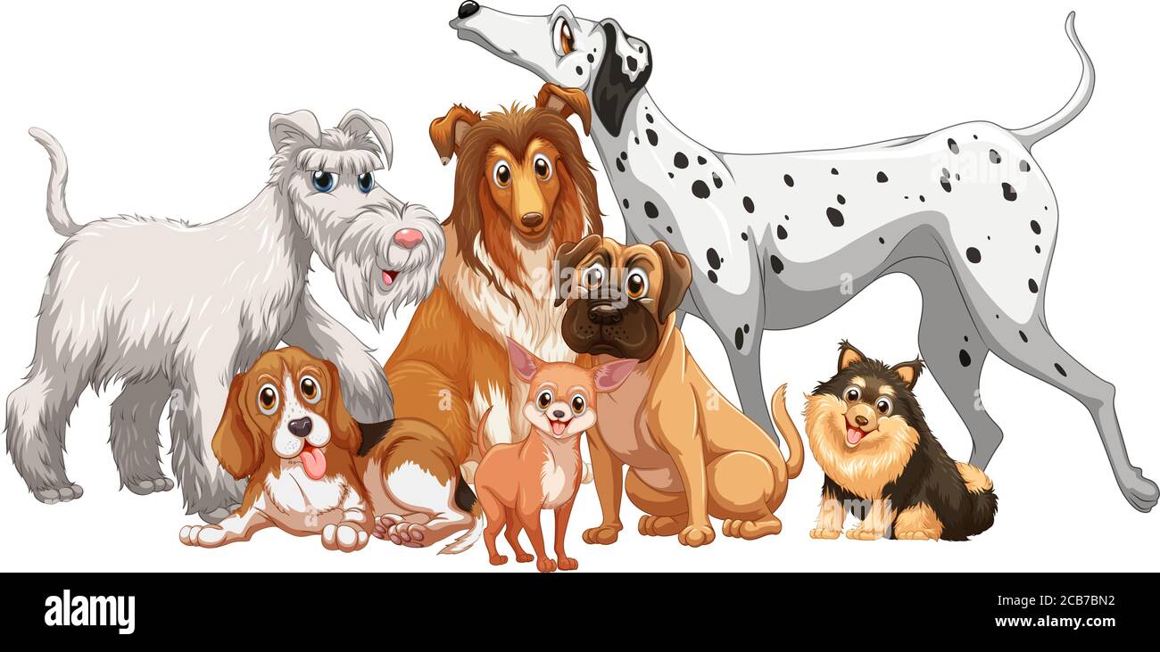 Cute animal dog group isolated on white background illustration Stock ...