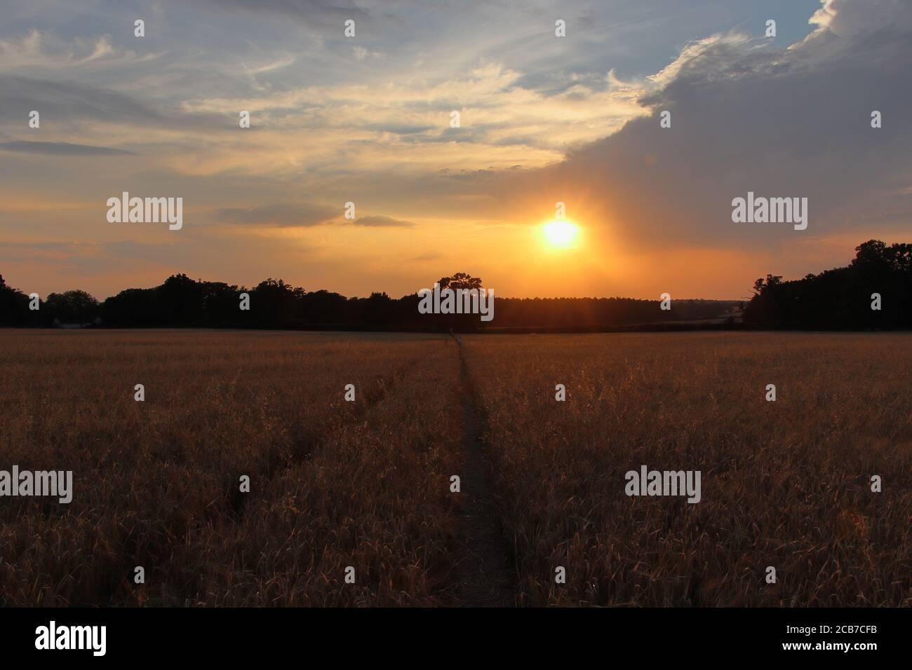 Ayot St Lawrence (England, UK Stock Photo - Alamy