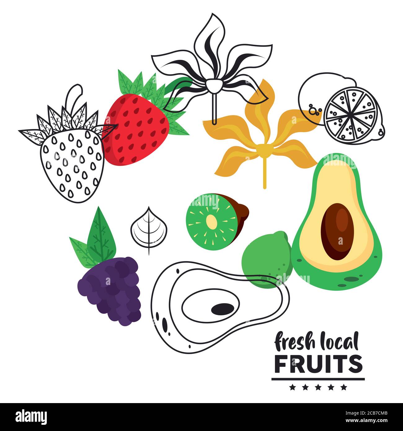 fresh local fruits lettering with set fruits in white background vector ...