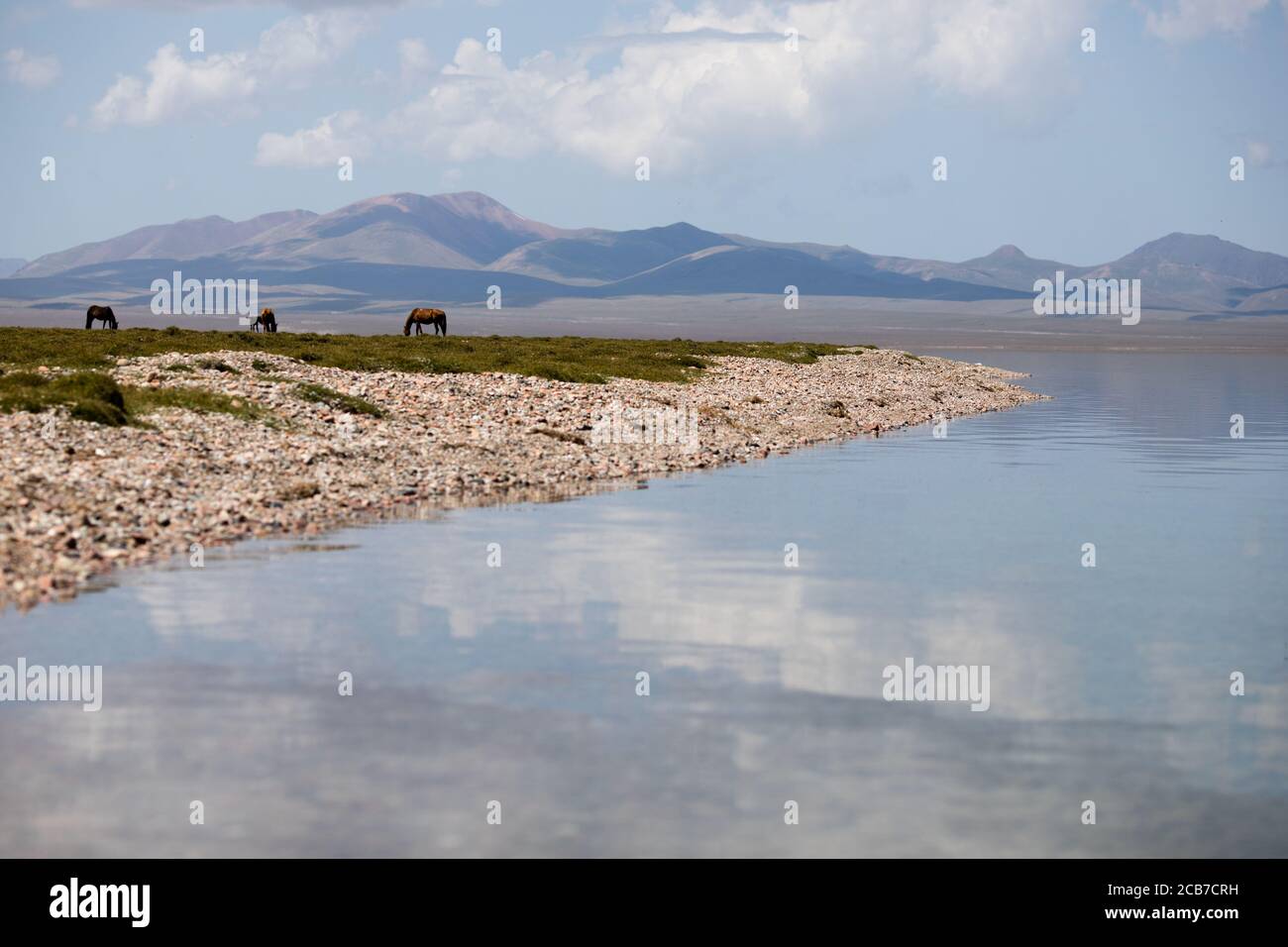Scenes from Son Kol Lake in Kyrgyzstan's Naryn Oblast Stock Photo - Alamy