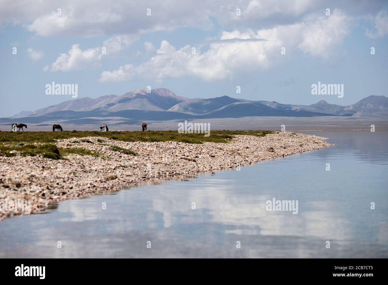 Scenes from Son Kol Lake in Kyrgyzstan's Naryn Oblast Stock Photo - Alamy