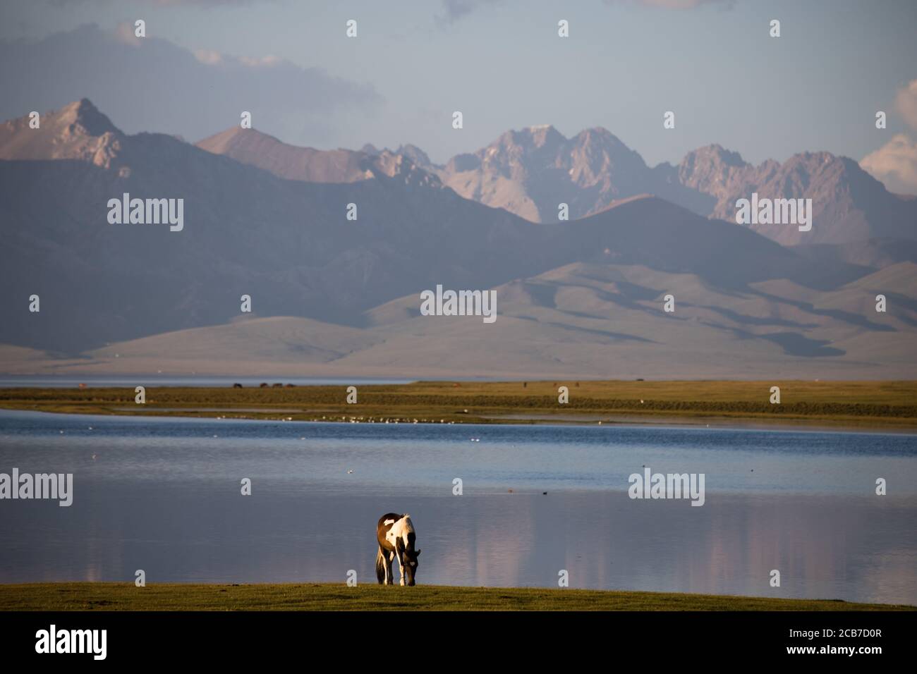 Scenes from Son Kol Lake in Kyrgyzstan's Naryn Oblast Stock Photo - Alamy
