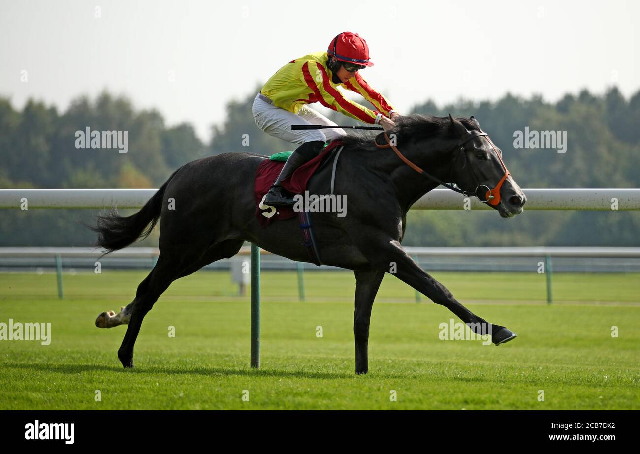 Alwen river hi-res stock photography and images - Alamy