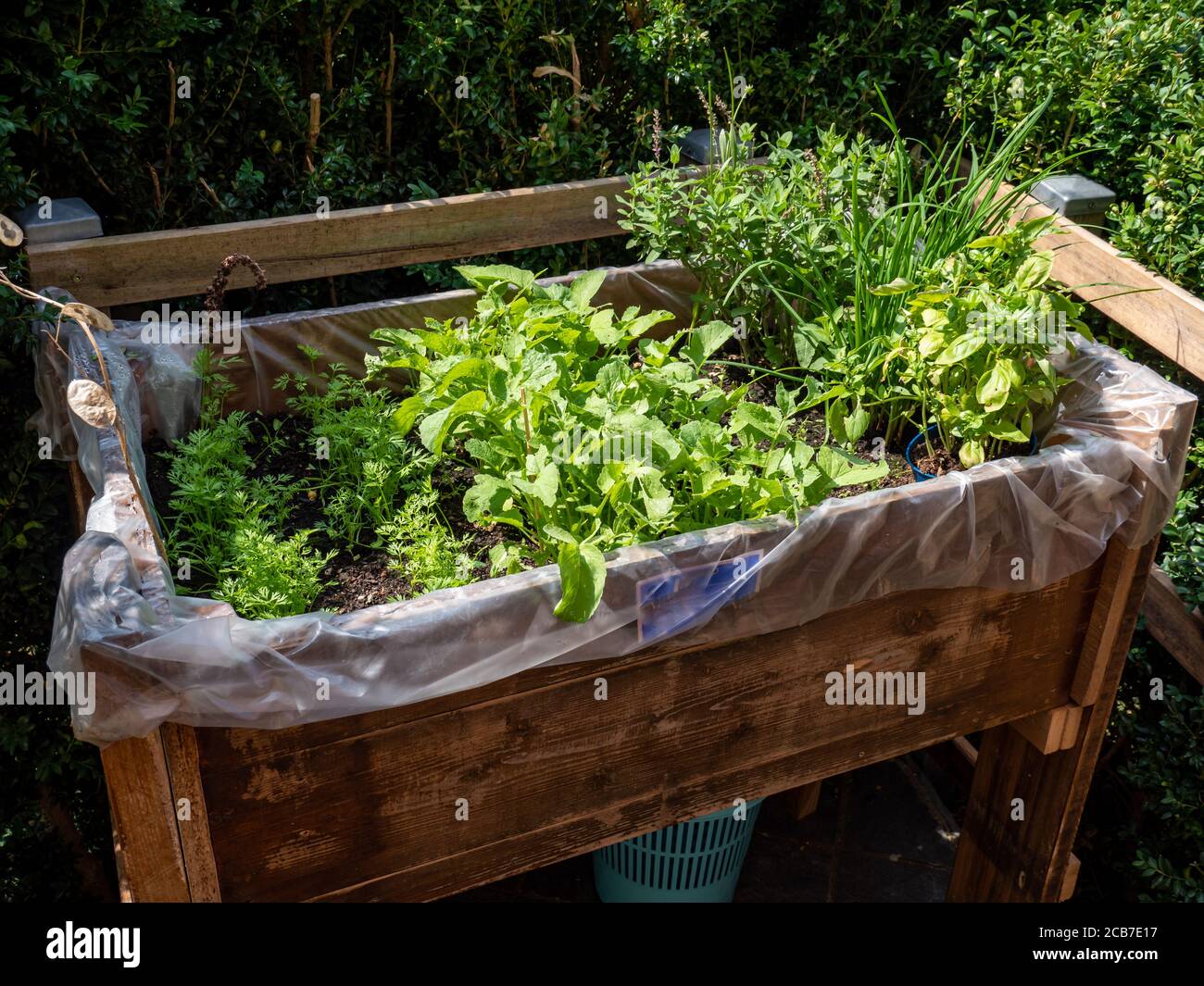 Raised bed table hi-res stock photography and images - Alamy