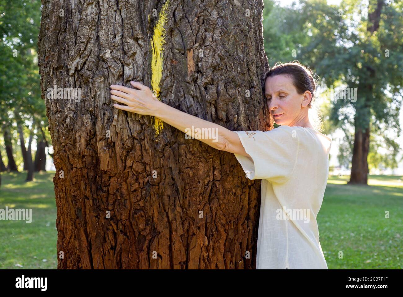 Hugging the Big Tree Stock Photo - Alamy