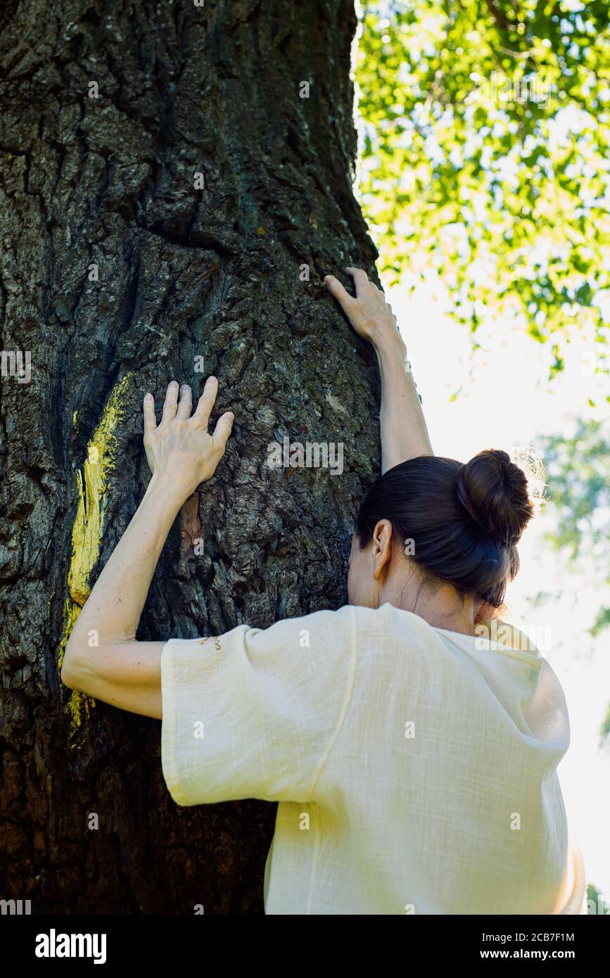 Hugging the Big Tree Stock Photo - Alamy