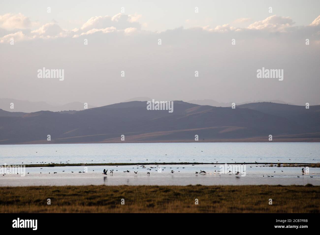Scenes from Son Kol Lake in Kyrgyzstan's Naryn Oblast Stock Photo - Alamy