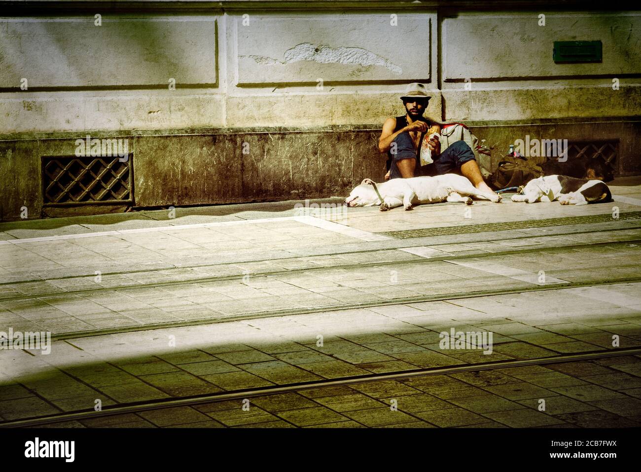 Laurasiatherians hi-res stock photography and images - Alamy