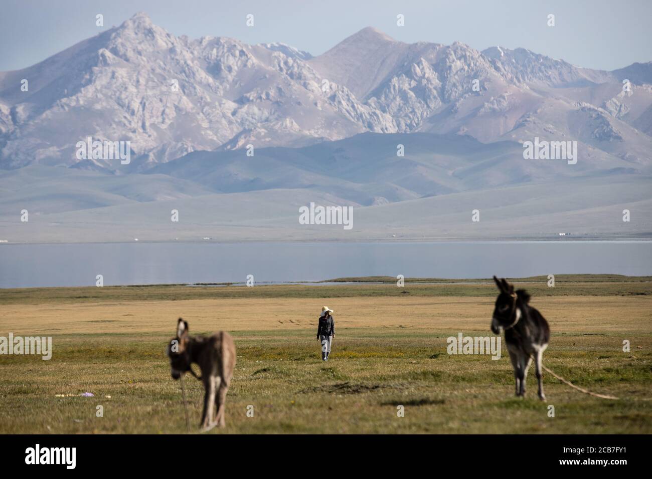 Scenes from Son Kol Lake in Kyrgyzstan's Naryn Oblast Stock Photo - Alamy