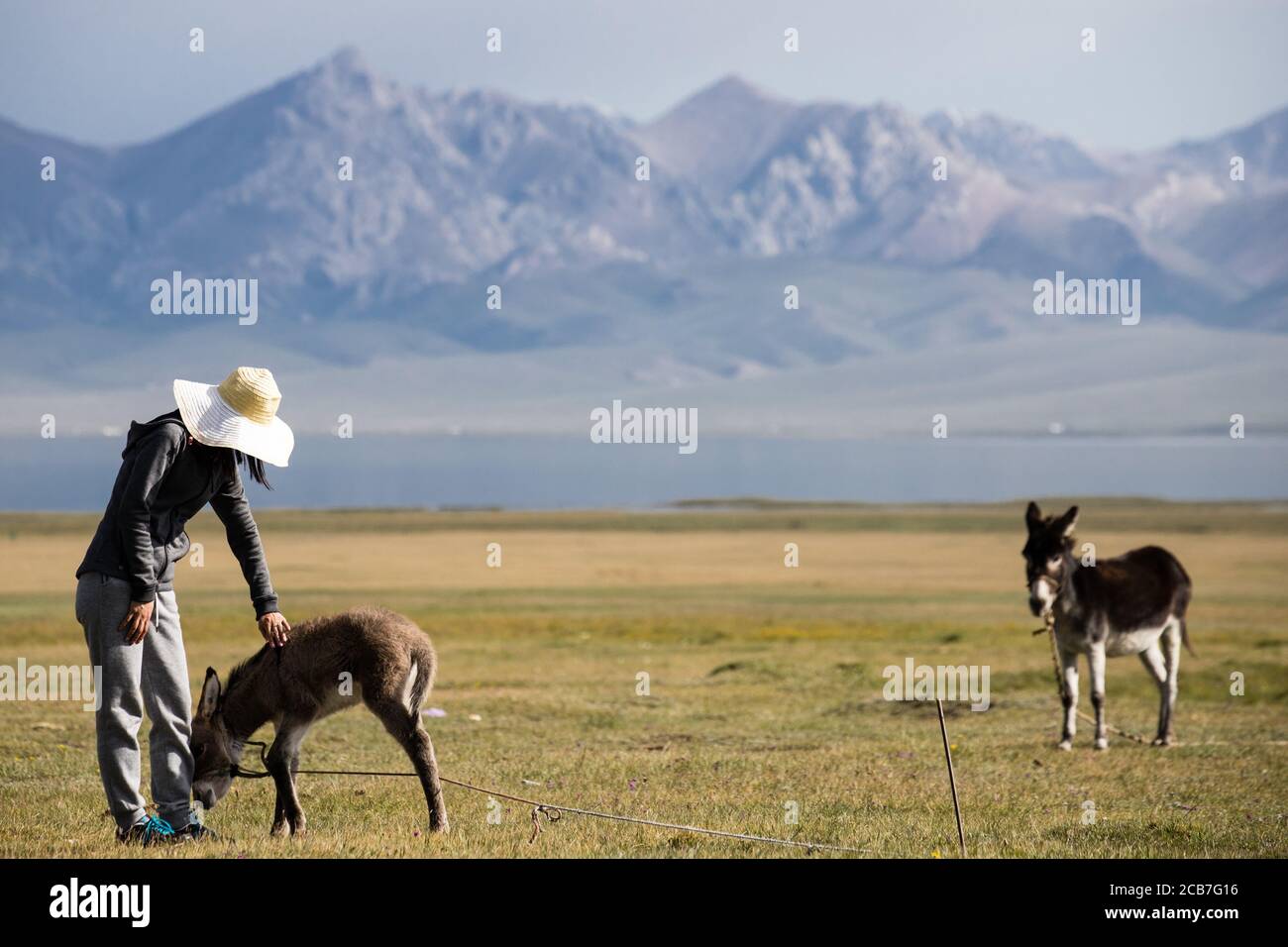 Scenes from Son Kol Lake in Kyrgyzstan's Naryn Oblast Stock Photo - Alamy