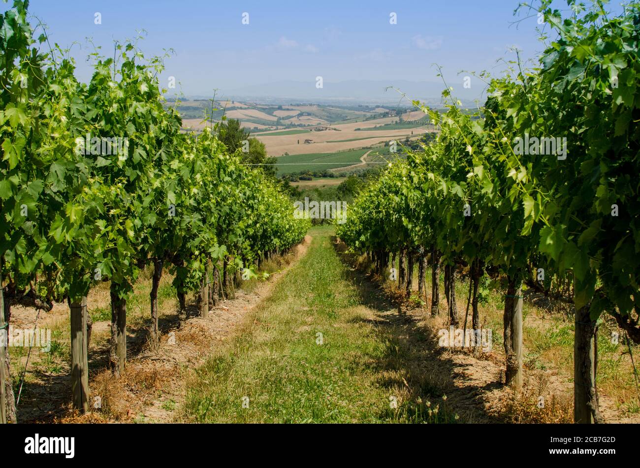 European vinery hi-res stock photography and images - Alamy