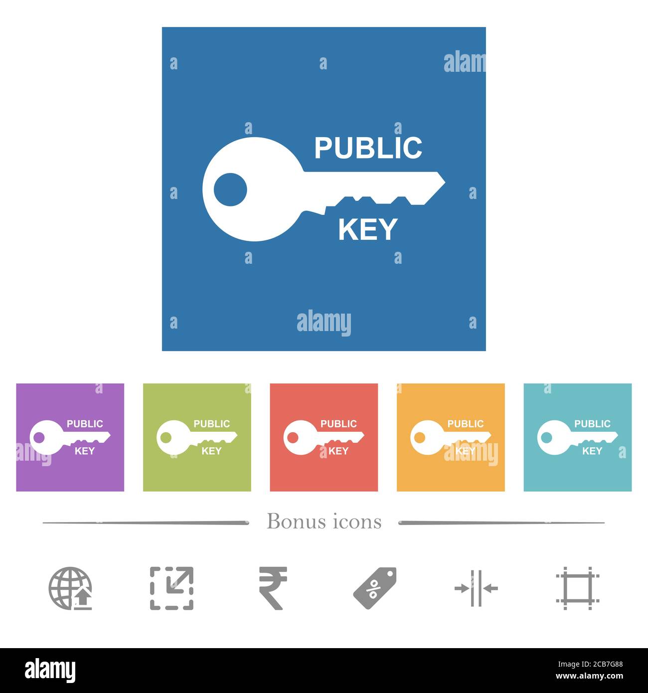 Public key flat white icons in square backgrounds. 6 bonus icons ...
