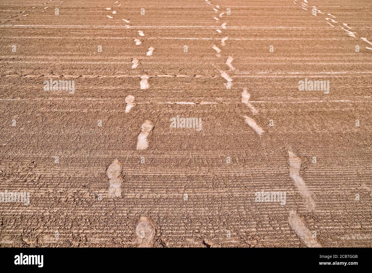 Raking sand hi-res stock photography and images - Alamy
