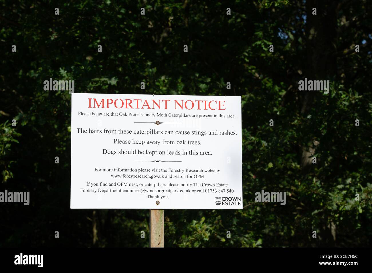 Oak processionary moth warning sign hi-res stock photography and images ...