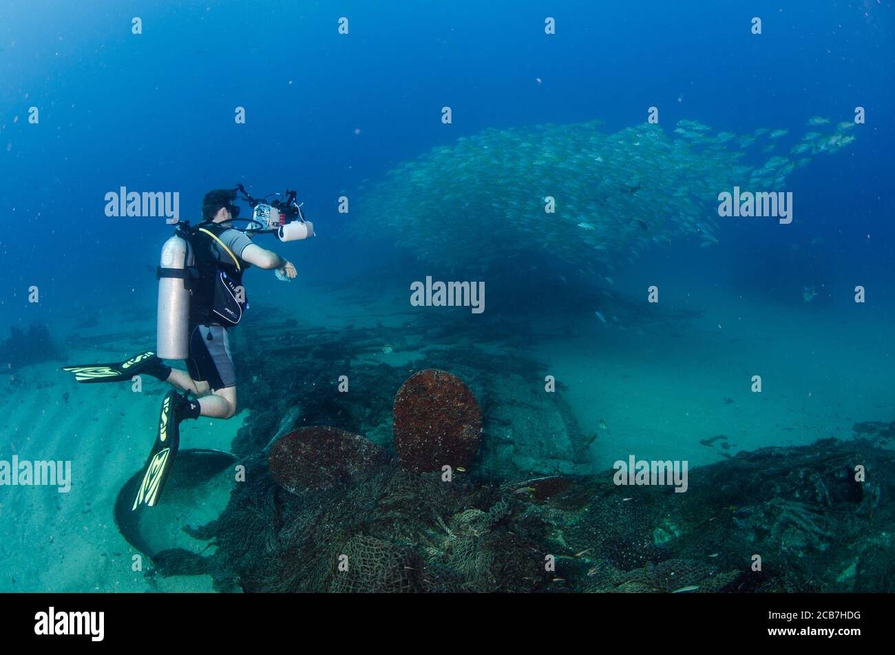 Diver interacting with wildlife on the reefs of cabo pulmo national ...