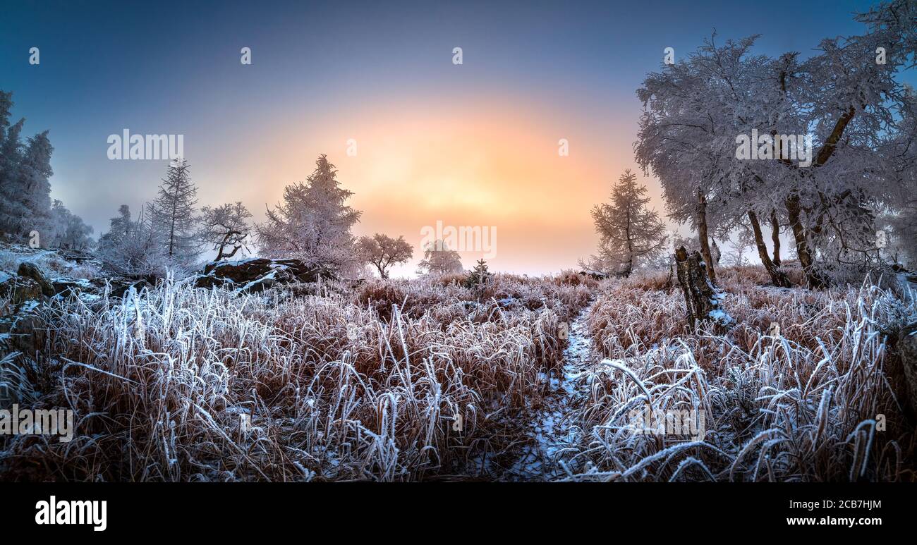 Frosted trees view hi-res stock photography and images - Alamy