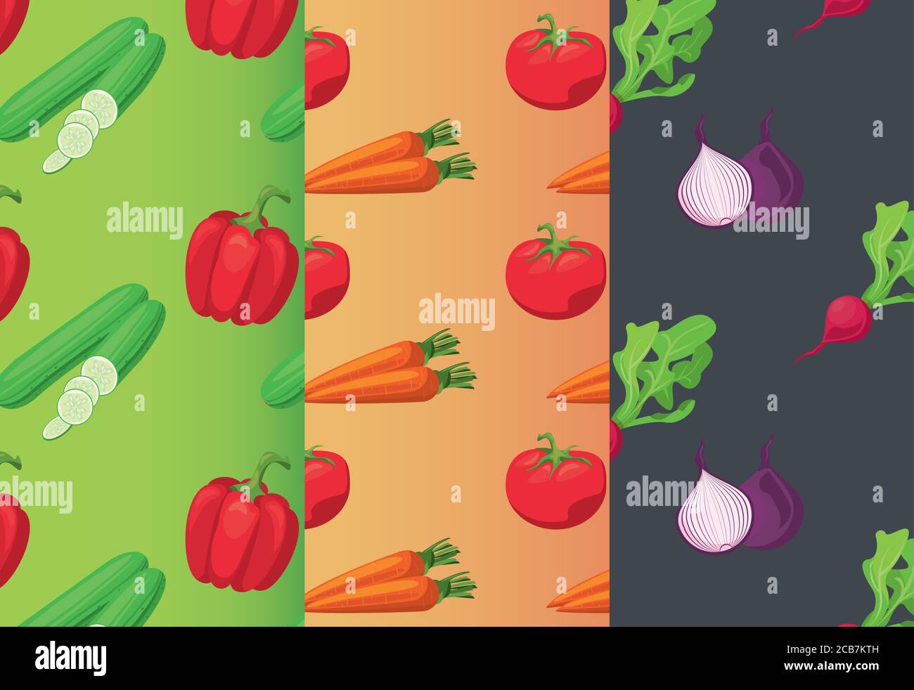 fresh local vegetables in set colors backgrounds vector illustration ...