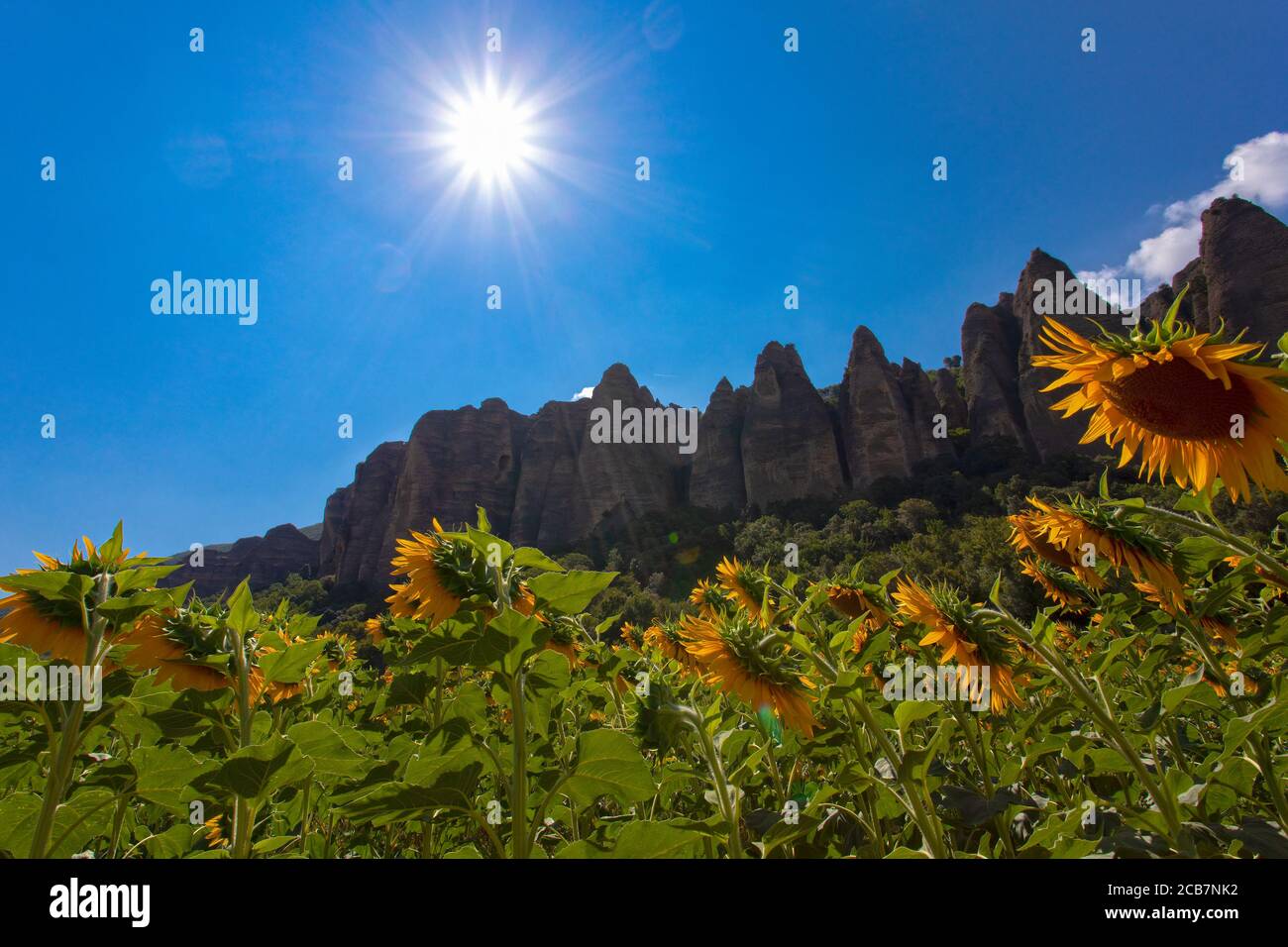 Mees hi-res stock photography and images - Alamy