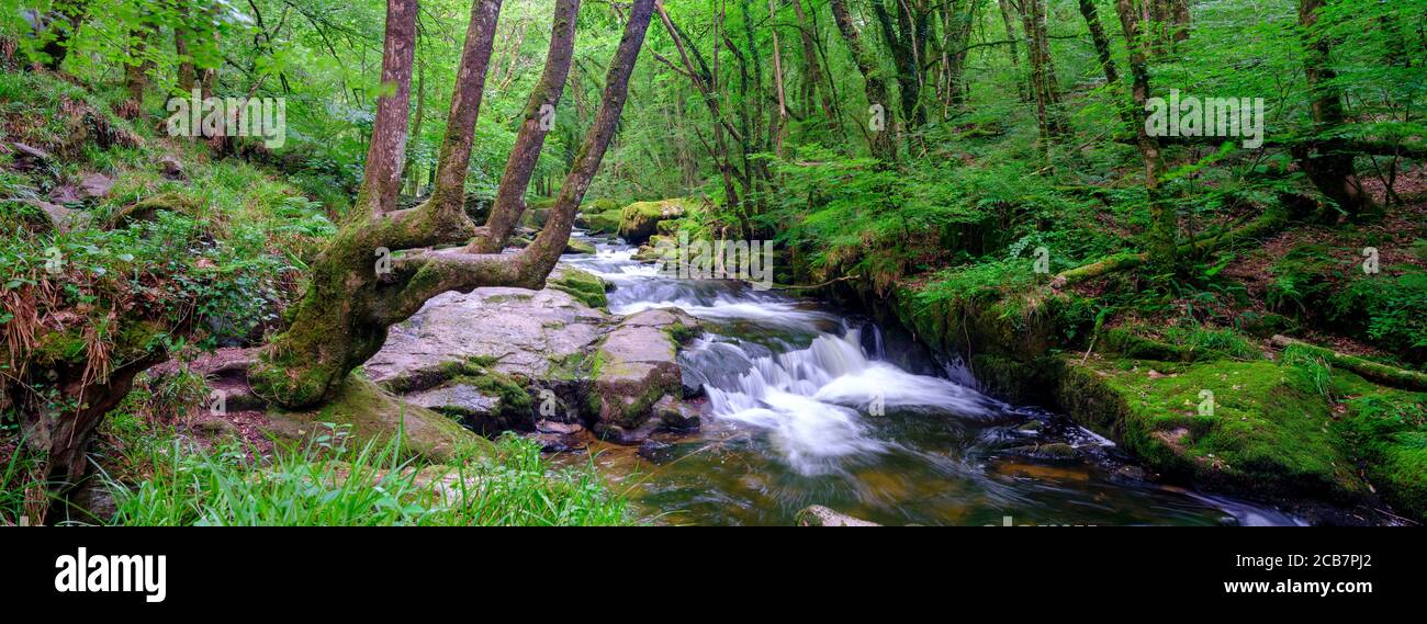Sad waterfall hi-res stock photography and images - Alamy