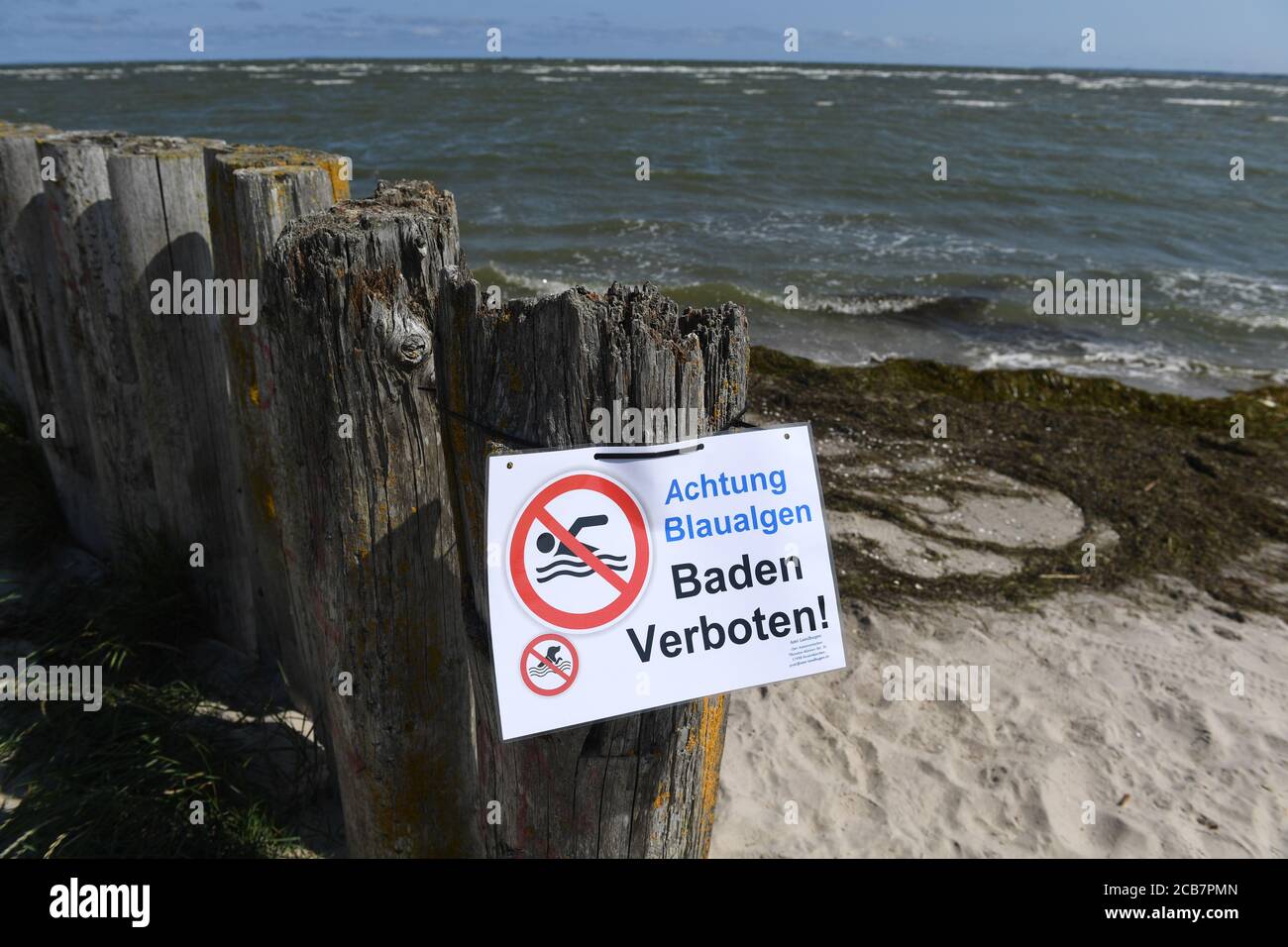 Wampen, Germany. 11th Aug, 2020. A sign prohibits bathing in the Bodden ...