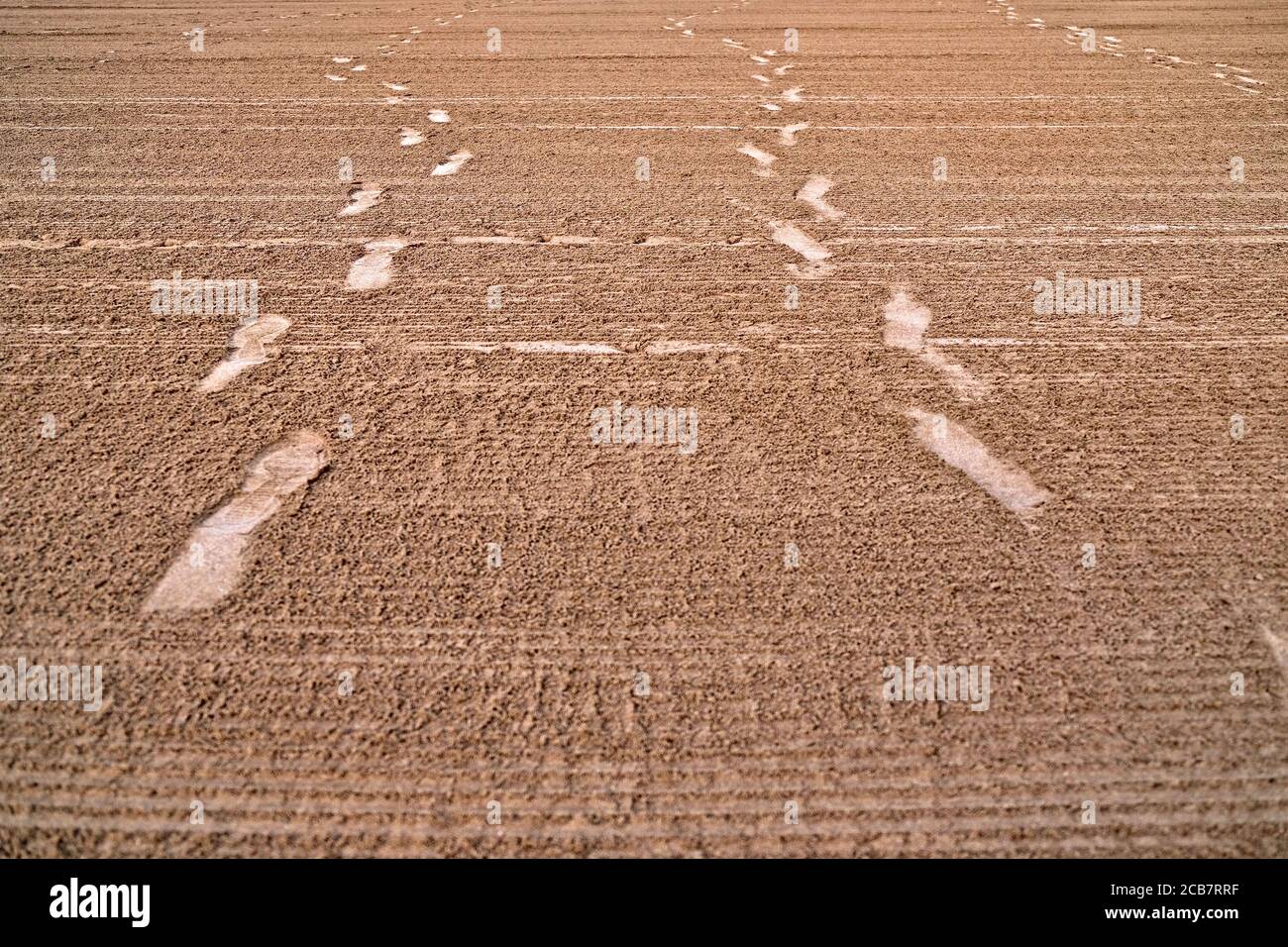 Raking sand hi-res stock photography and images - Alamy