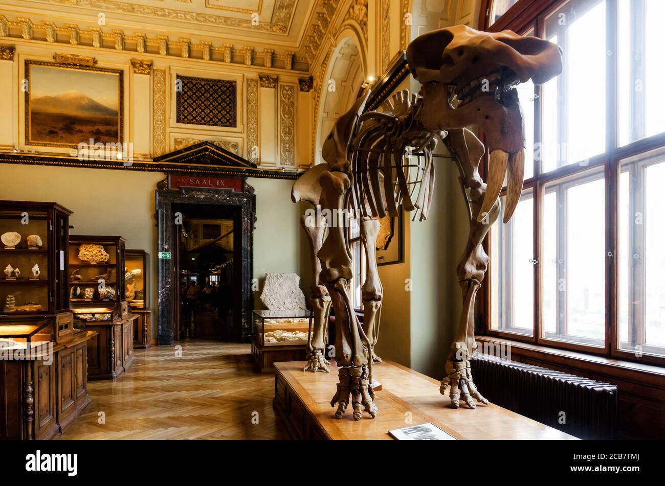 VIENNA, AUSTRIA - MAY 20, 2017: The famous Naturhistorisches Museum ...