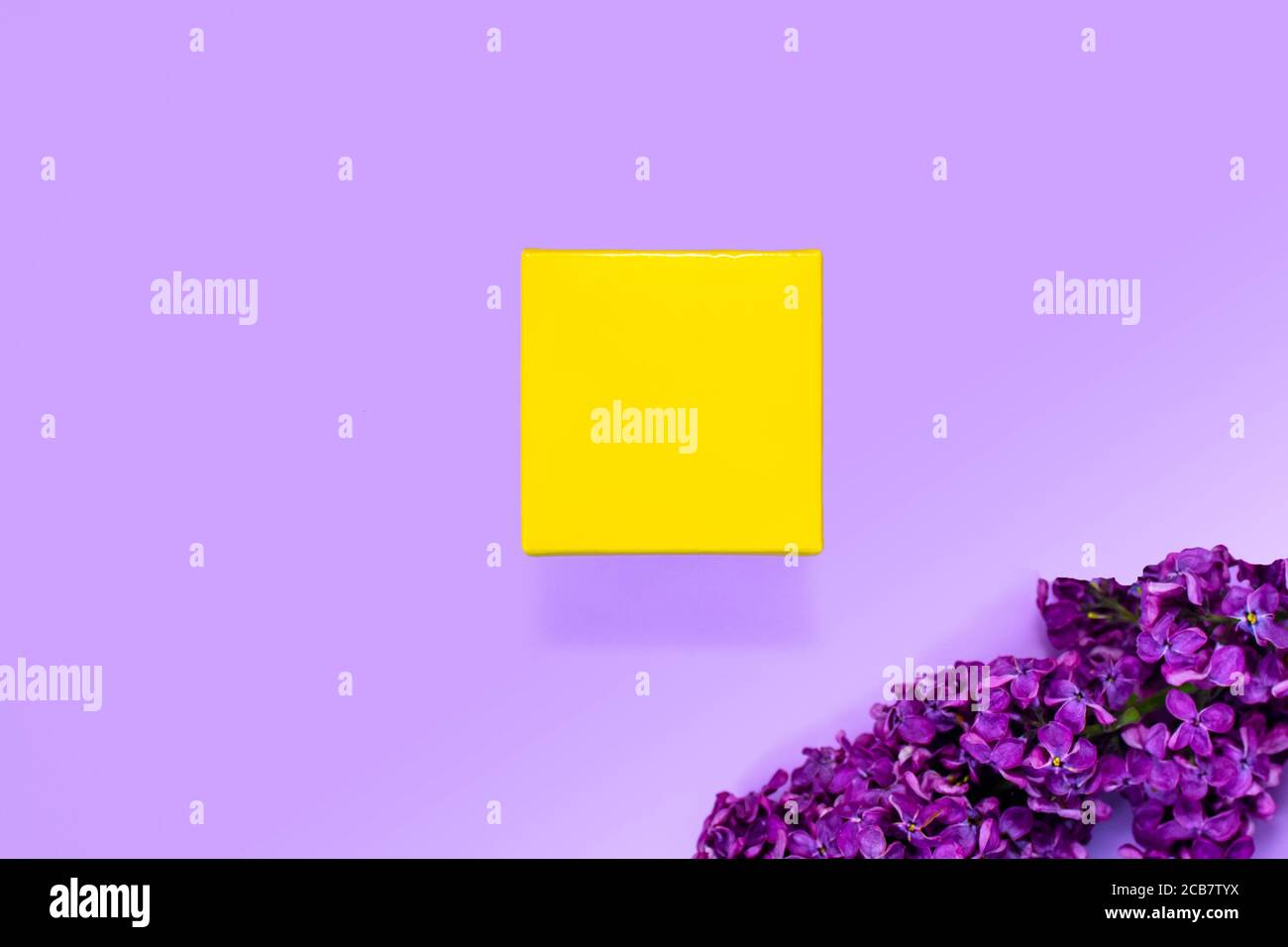 Yellow present box with branch of lilac on a purple background Stock ...