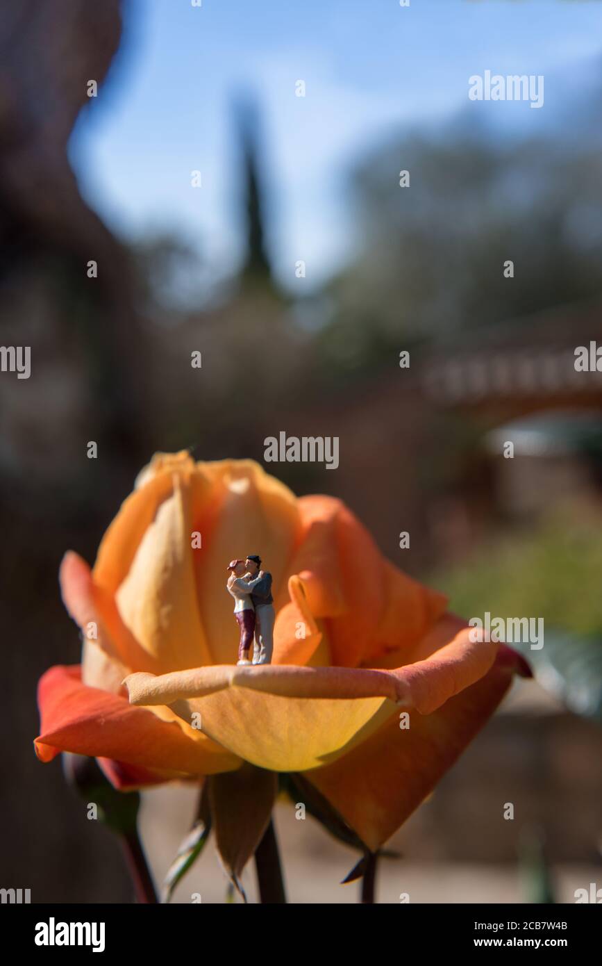 Miniature figures nature hi-res stock photography and images - Alamy