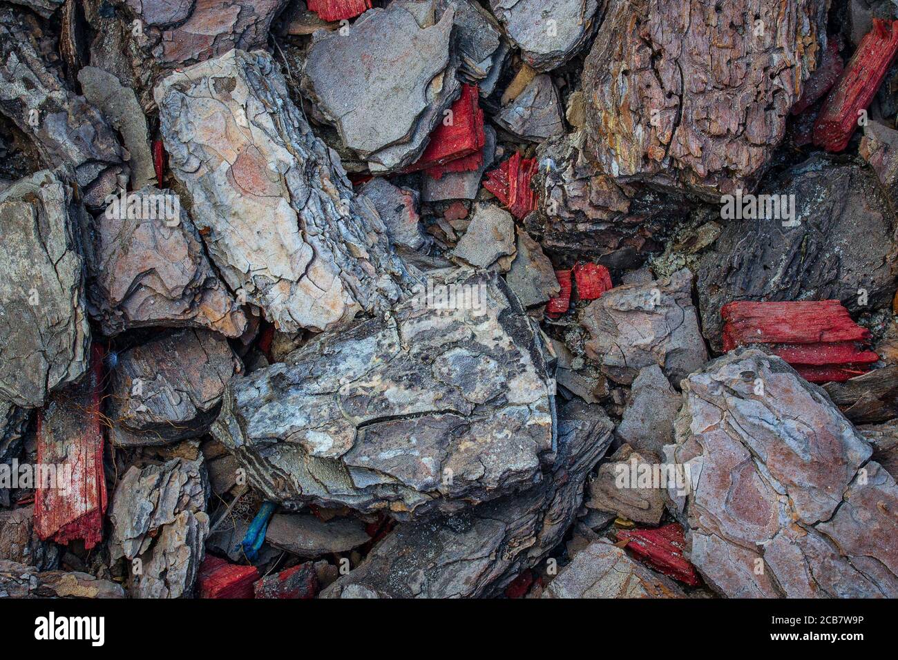 pieces of felled tree lie on the ground with a ballast layer of a ...