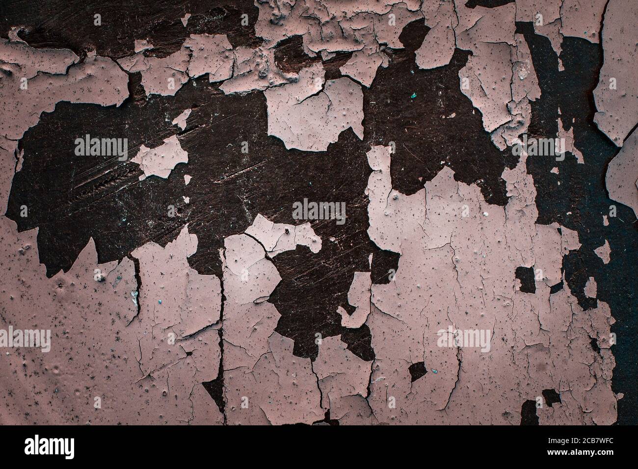 peeled thin layer of paint on a metal surface closeup texture for a ...