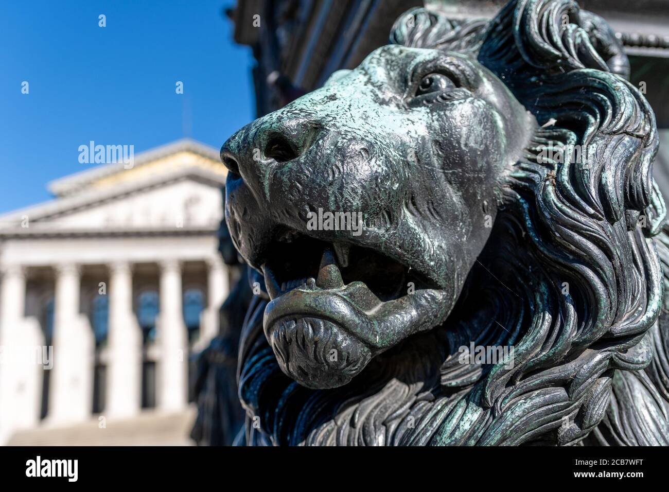 Head of the Bavarian lion at the Max Joseph monument in Munich ...