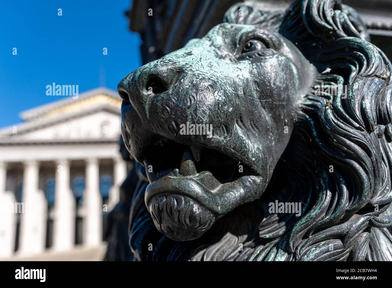 Head of the Bavarian lion at the Max Joseph monument in Munich ...