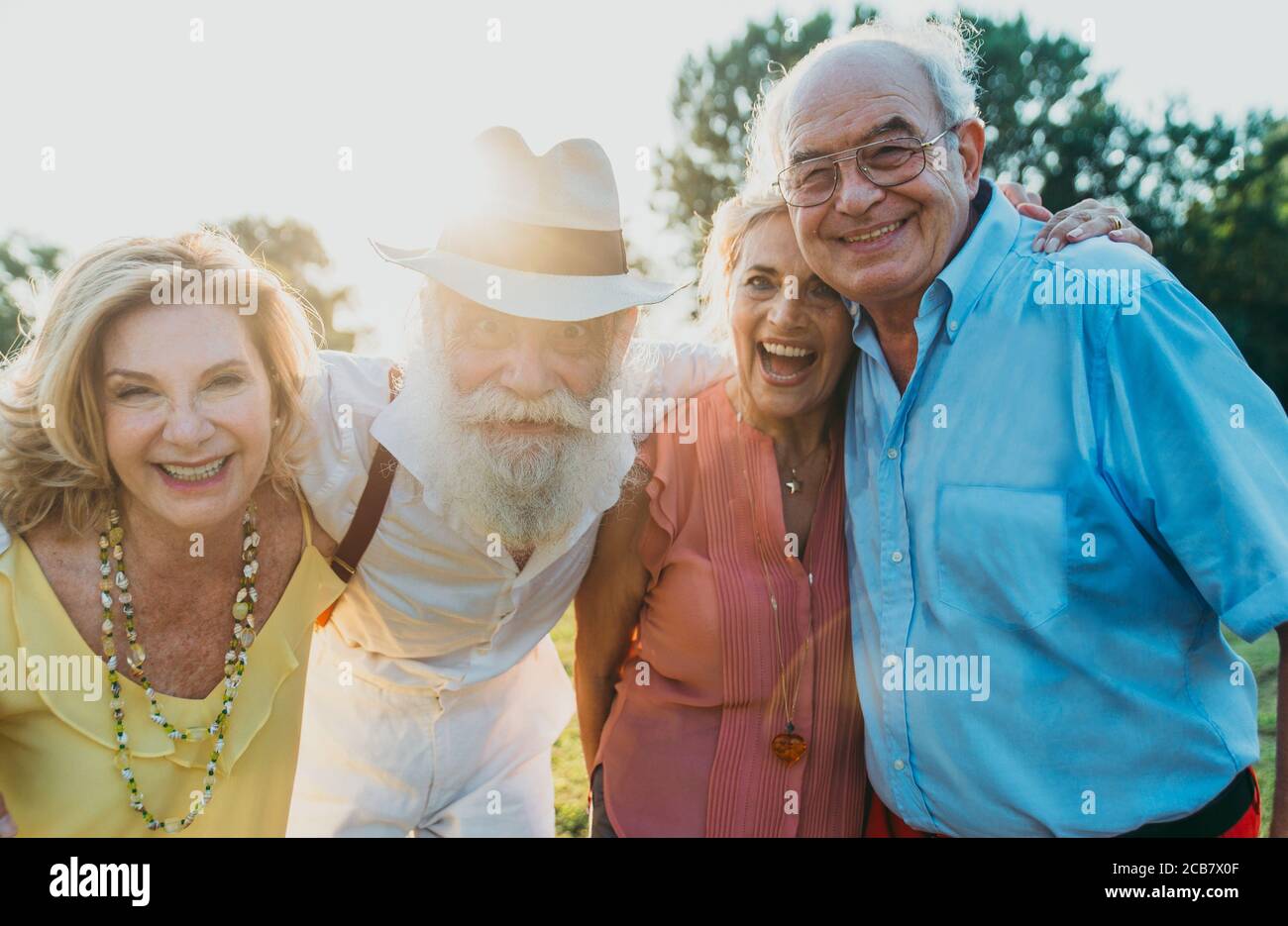 Group of seniors making a picnic at the park and having fun Stock Photo ...