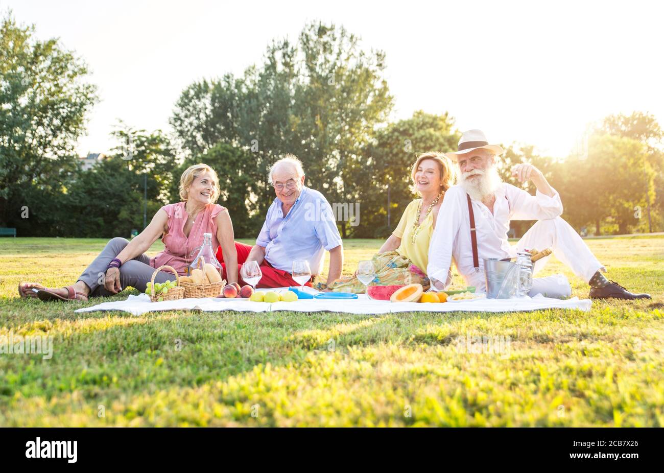 Group of seniors making a picnic at the park and having fun Stock Photo ...