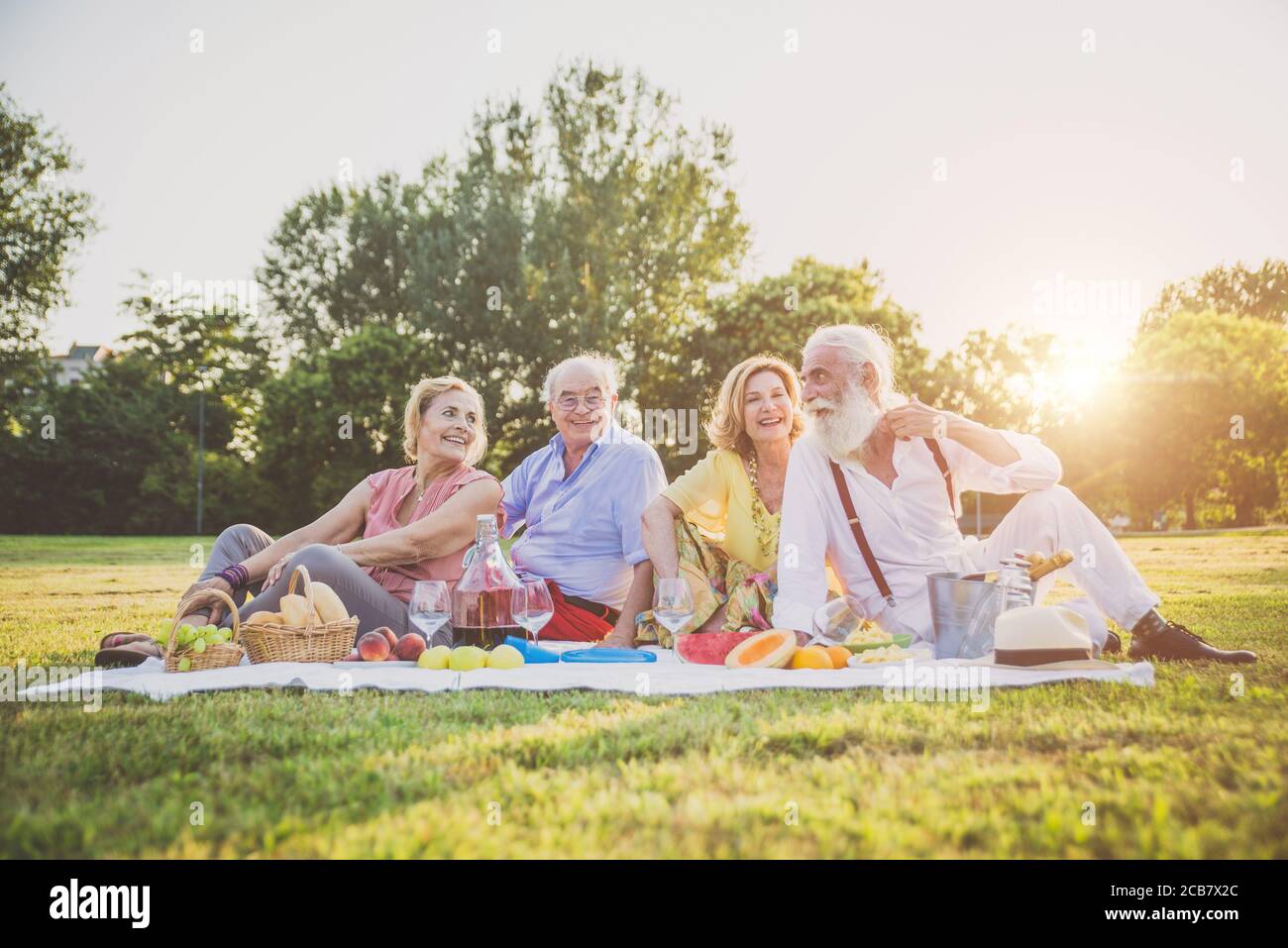 Group of seniors making a picnic at the park and having fun Stock Photo ...