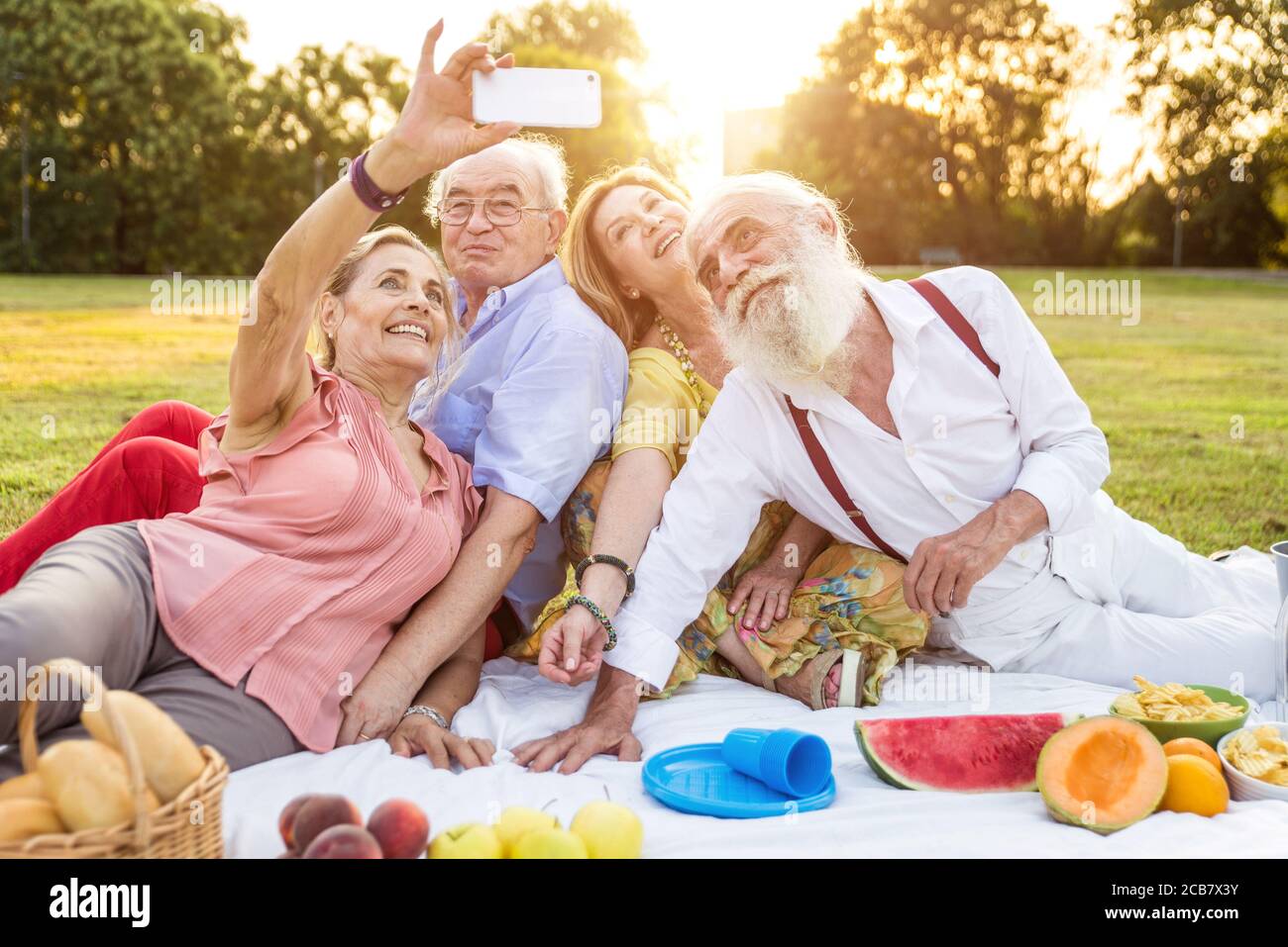 Group of seniors making a picnic at the park and having fun Stock Photo ...