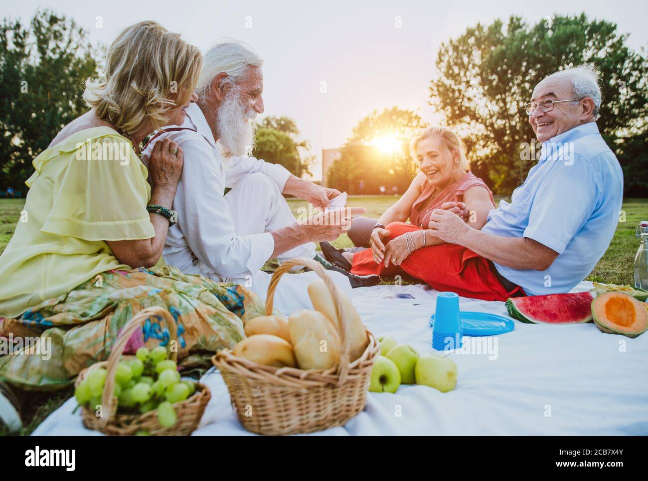 Group of seniors making a picnic at the park and having fun Stock Photo ...