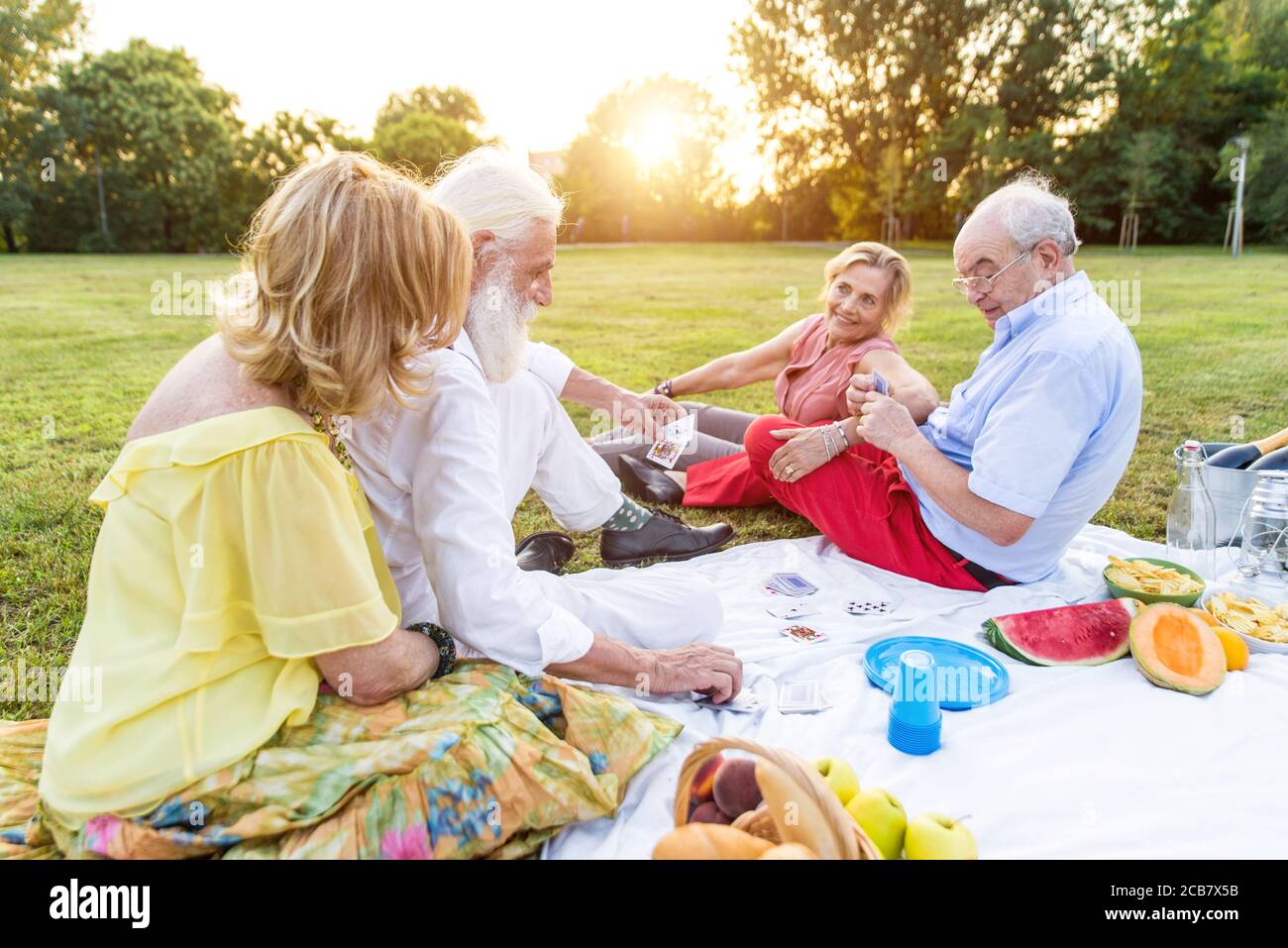 Group of seniors making a picnic at the park and having fun Stock Photo ...