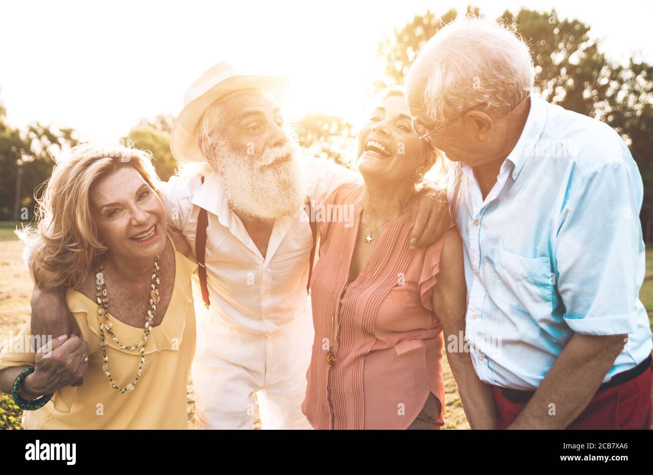Group of seniors making a picnic at the park and having fun Stock Photo ...